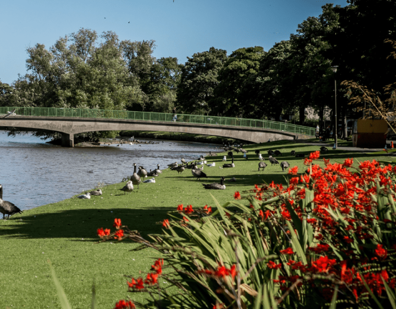 Musselburgh | Visit East Lothian