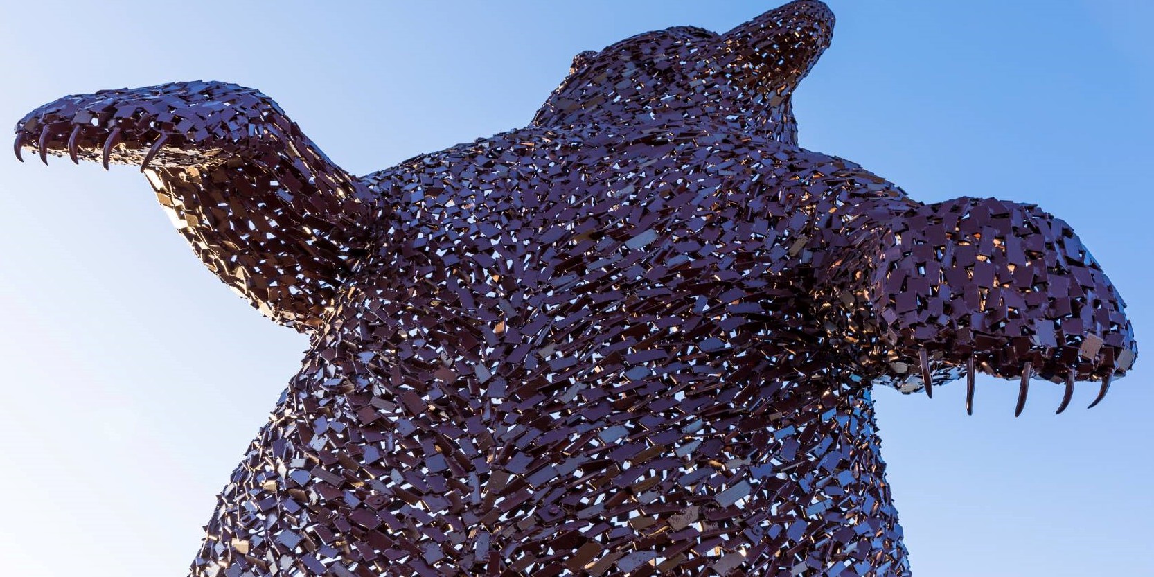 DunBear | Visit East Lothian