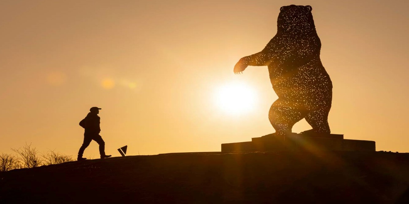 DunBear | Visit East Lothian