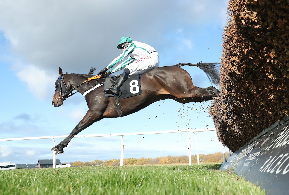 Musselburgh Racecourse | Visit East Lothian