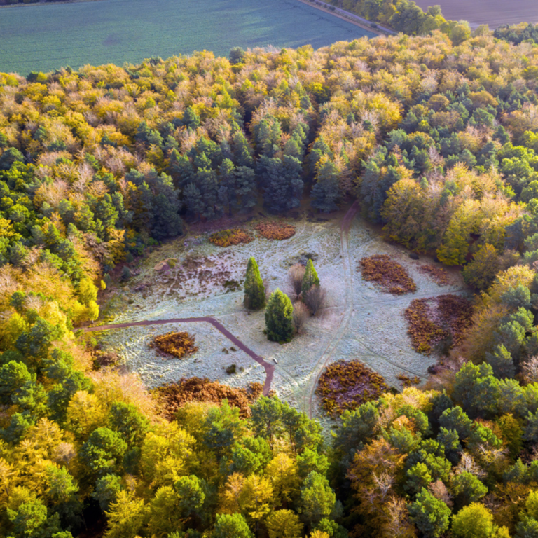 Adventure into East Lothian this Autumn | Visit East Lothian